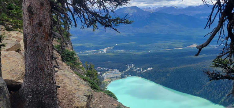 Gastroenterology, Hepatology, and Therapeutic Endoscopy – dr. nischita ...